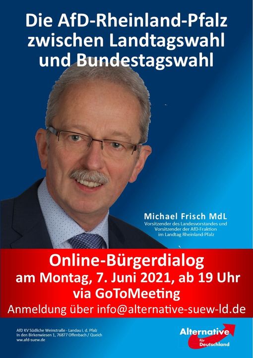 Online-Bürgerdialog mit unserem Landesvorsitzenden Michael Frisch, MdL ...